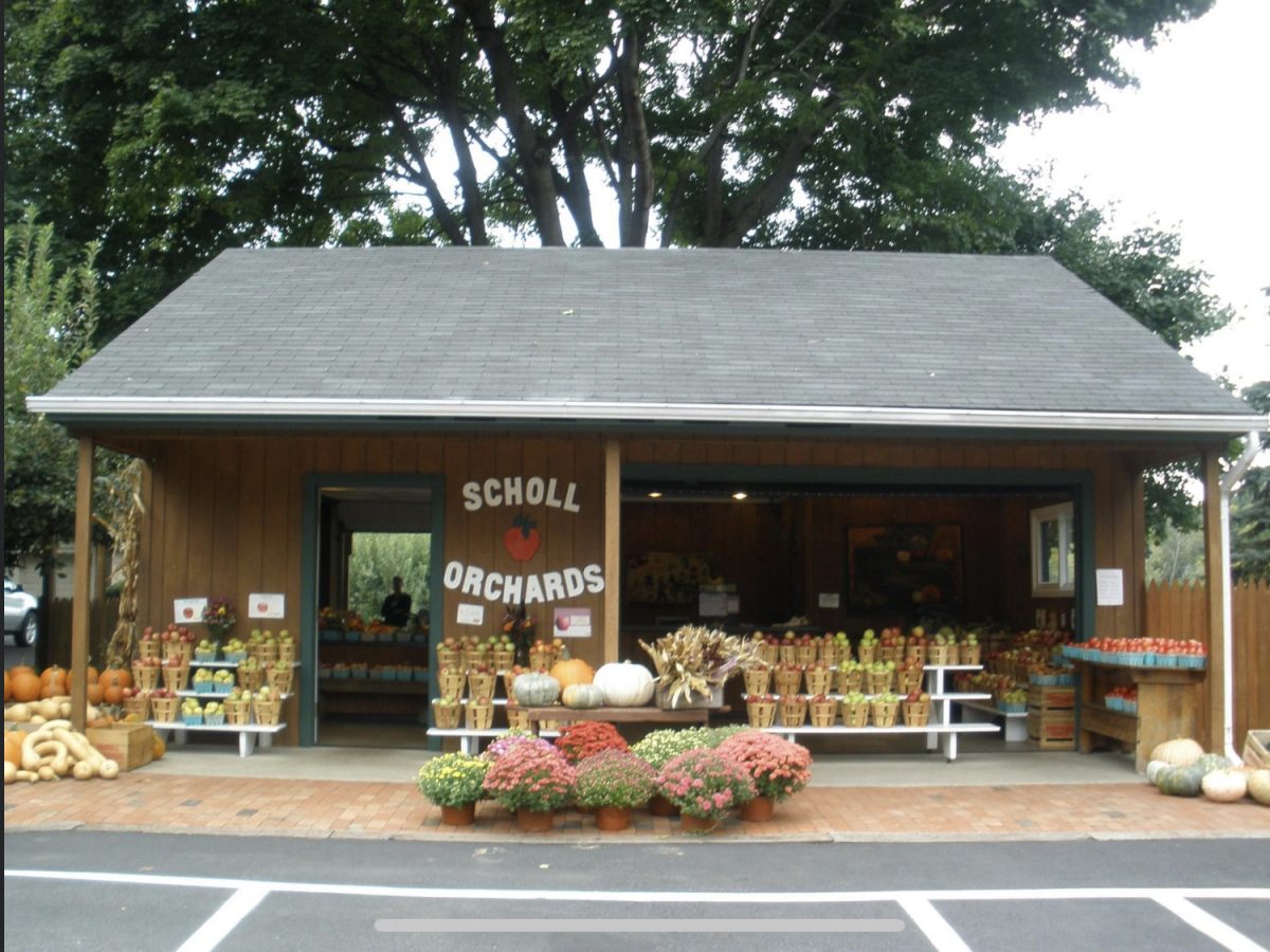 Remodeling Gallery - Shafer Construction | Freemansburg PA